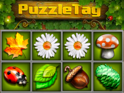 Game PuzzleTag — play online free